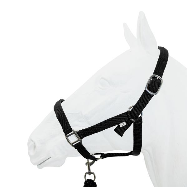 EquiStyle Padded Halter with Rope – Equibox