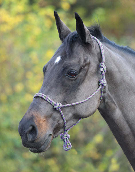 Rope Control Headcollar – Equibox