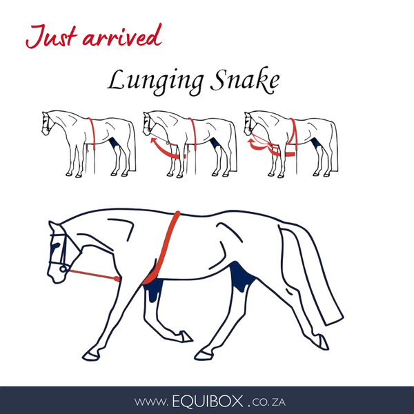 Lunging Snake – Equibox
